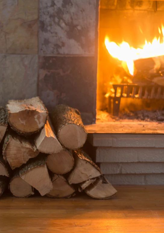 Beukenhout kopen voor jouw houtkachel? Haardhout.com